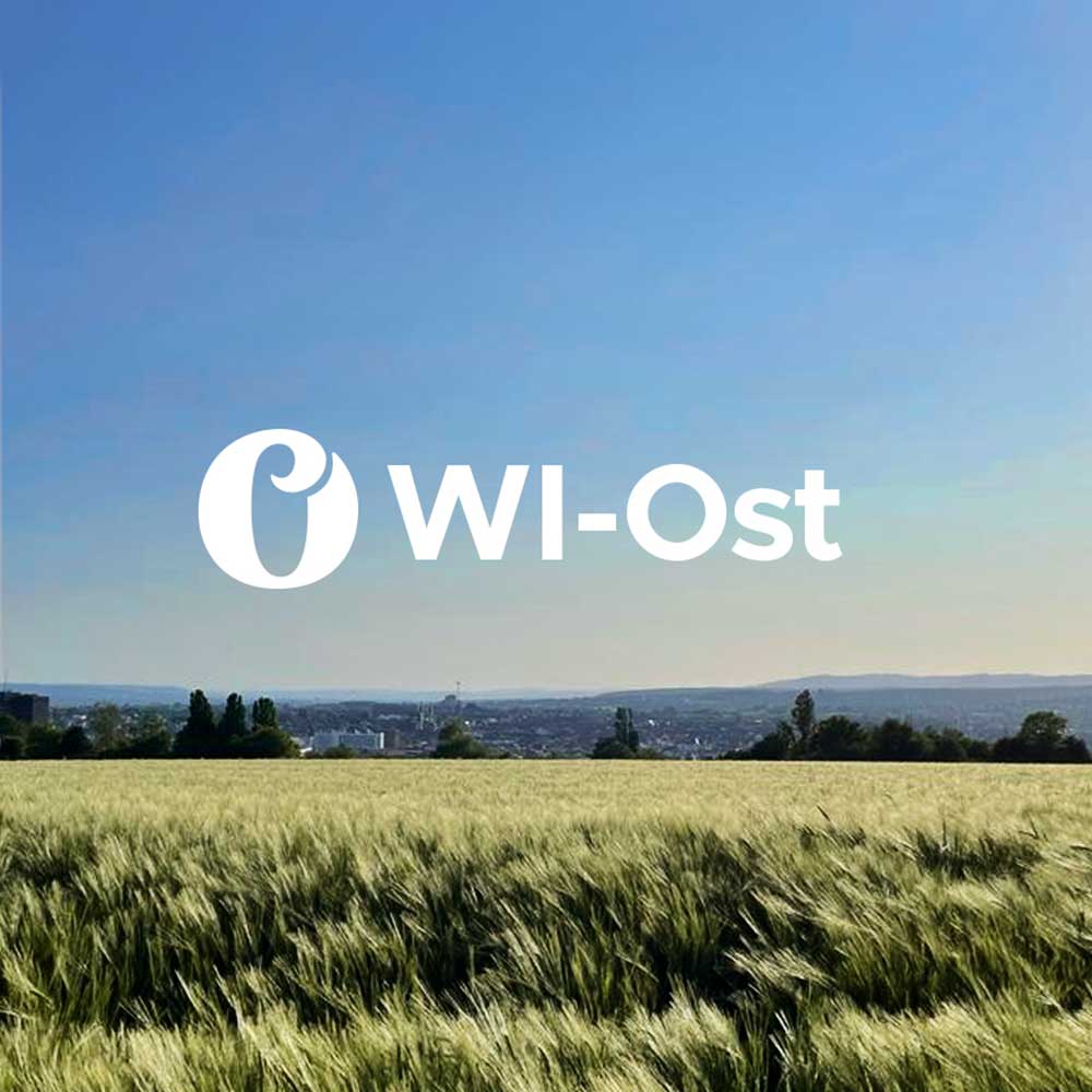 Wi-Ost - Overflow Kirche | Wiesbaden